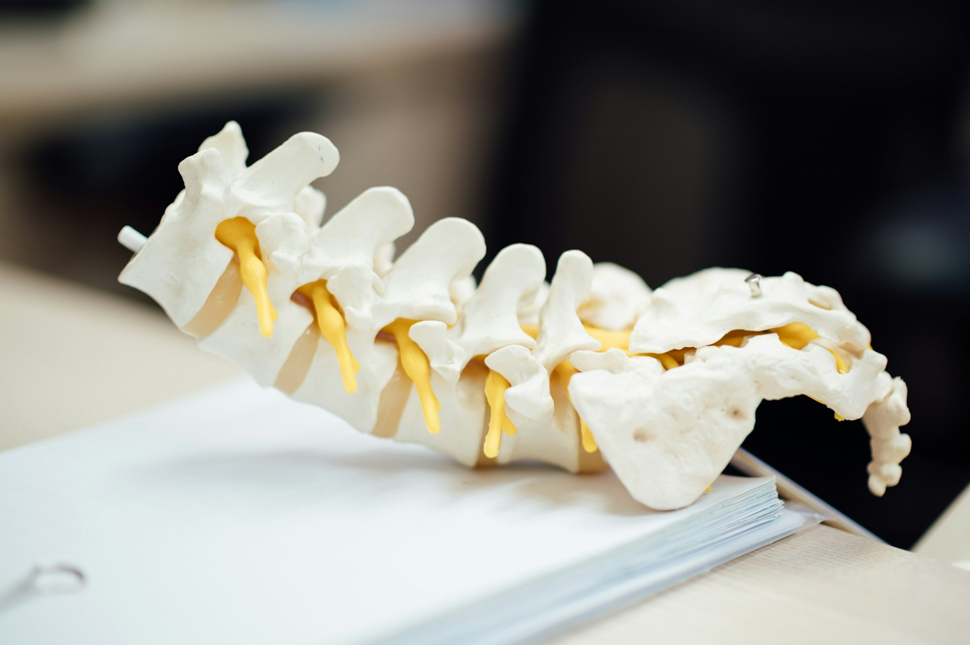 What Affects the Value of a Spinal Cord Injury Case in WA? - Ron Meyers ...